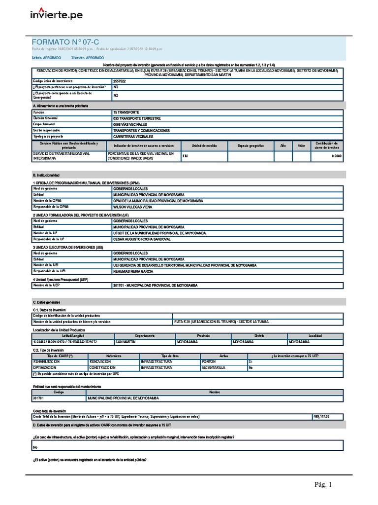 Formato 08 Del Invierte - Pe | PDF | Economias