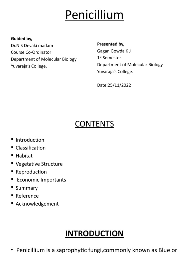 Penicillium 1 | PDF | Fungus | Biology