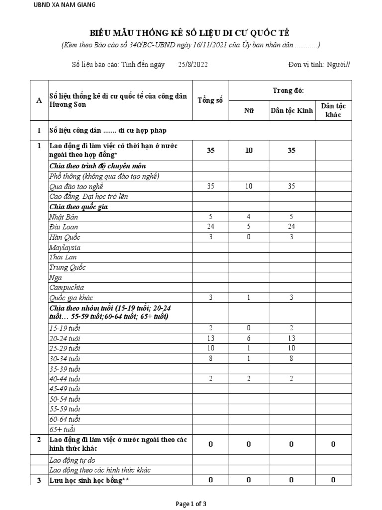 Bieu Mau So Lieu Di Cu Quoc Te | PDF