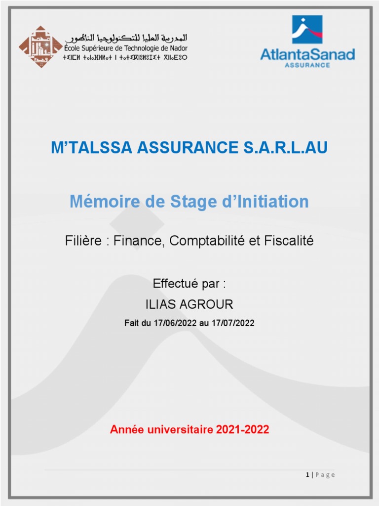 Rapport de Stage | PDF