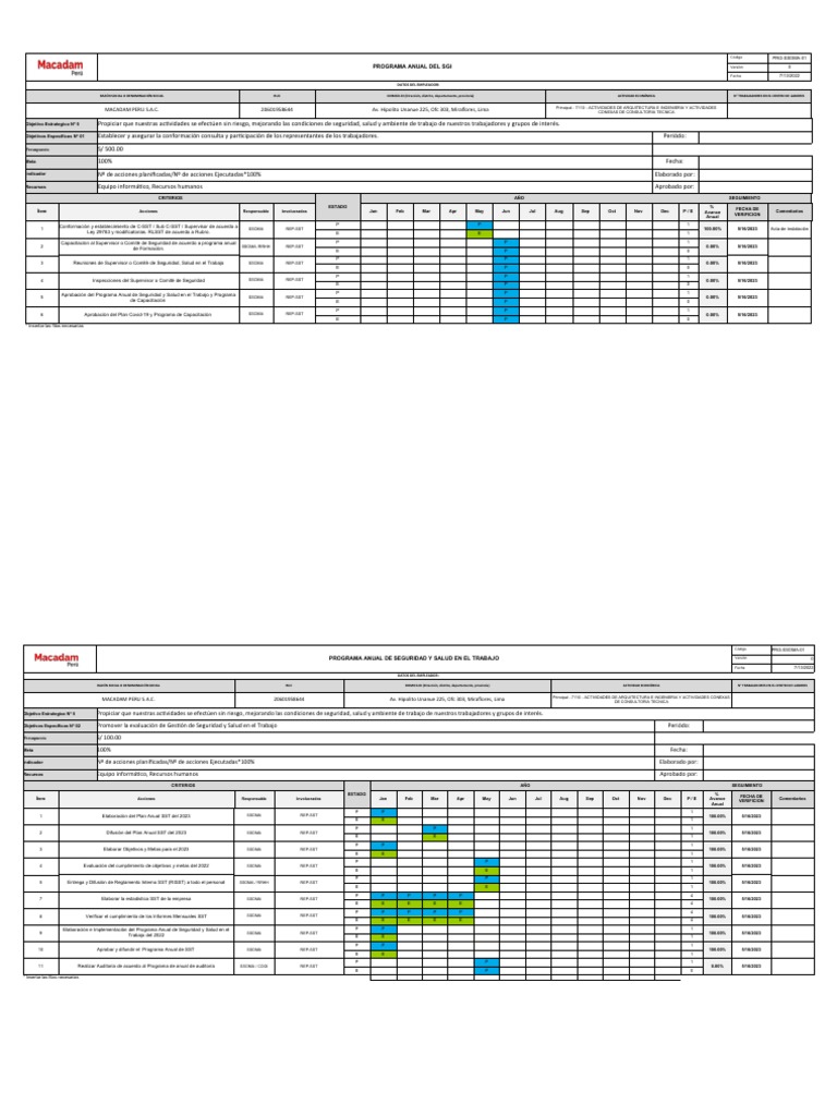 PGR-SSOMA-01 SIG Programa - Anual - SST | PDF | Business