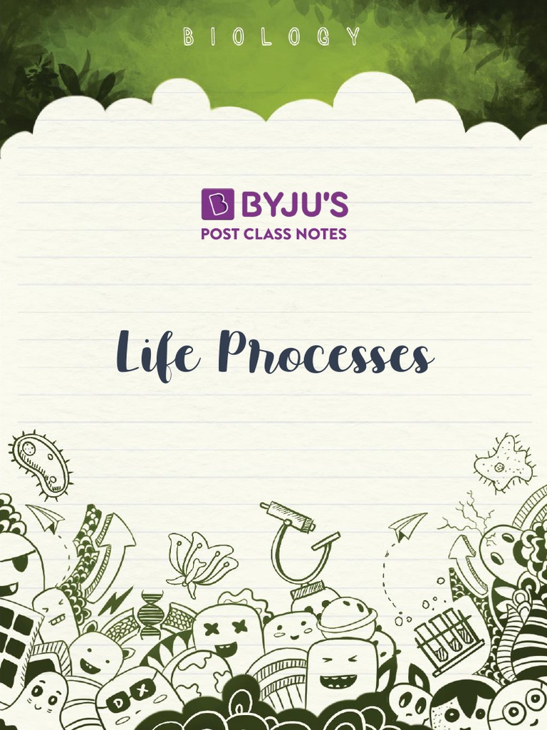Life Processes - Notes | PDF