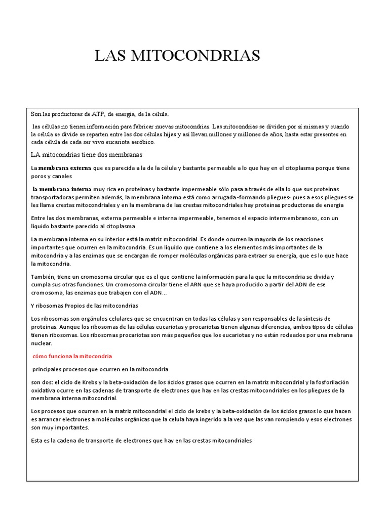 Mitocondrias: Energía Celular | PDF