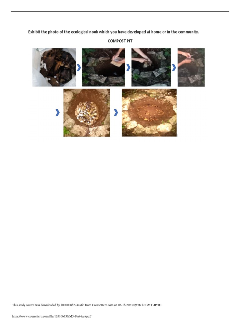 M5 Post Task PDF | PDF