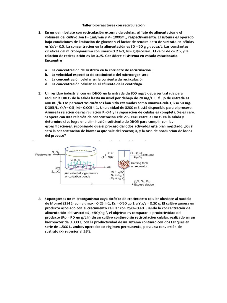 Taller Reactores Con Recirculación y en Serie | PDF