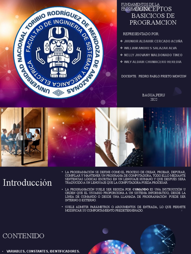 Conceptos Basicicos De Programcion Pdf Lenguaje De Programación