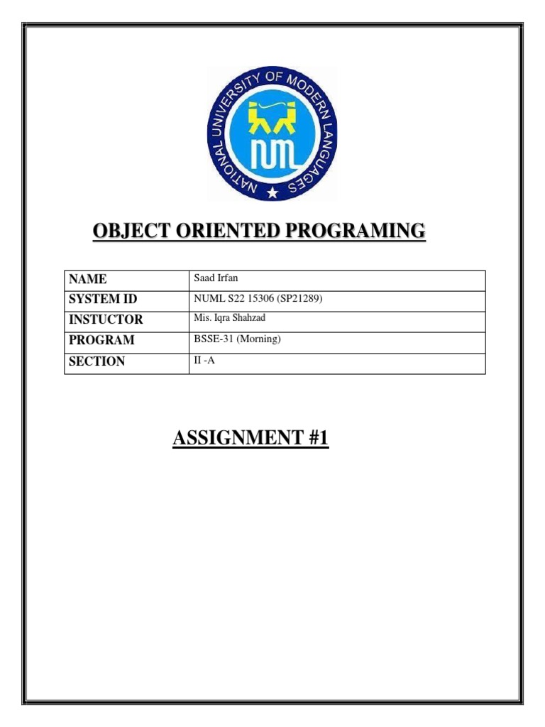 Object Oriented Programing: Name System Id Instuctor Program Section | PDF