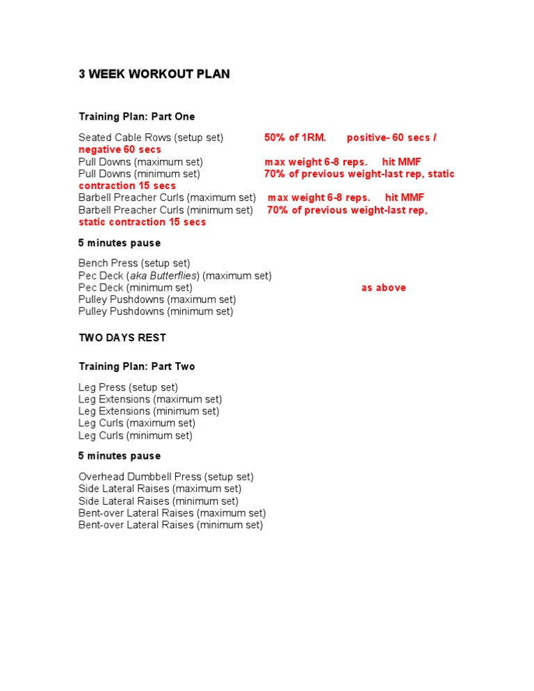3 Week Workout Plan | PDF