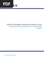 CipherTrust Manager - Hands-On - Overview and Basic Configuration | PDF ...