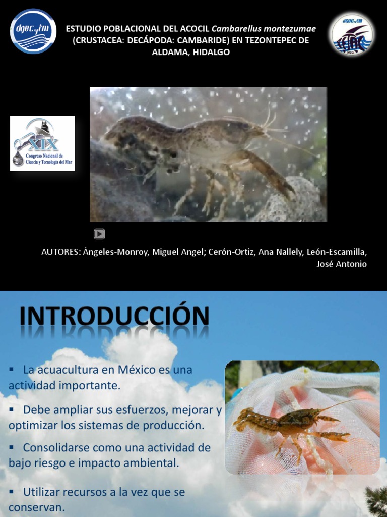 Tezontepec de Aldama Estudio Del Acocil | PDF