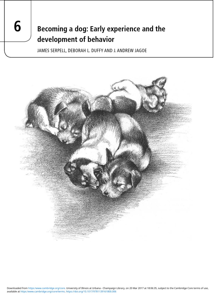 Canine Behavior: Early Development | PDF | Hypothalamic–Pituitary ...