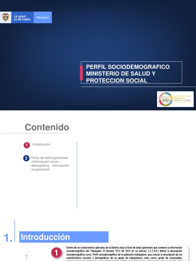 Perfil Sociodemográfico del Ministerio de Salud | PDF