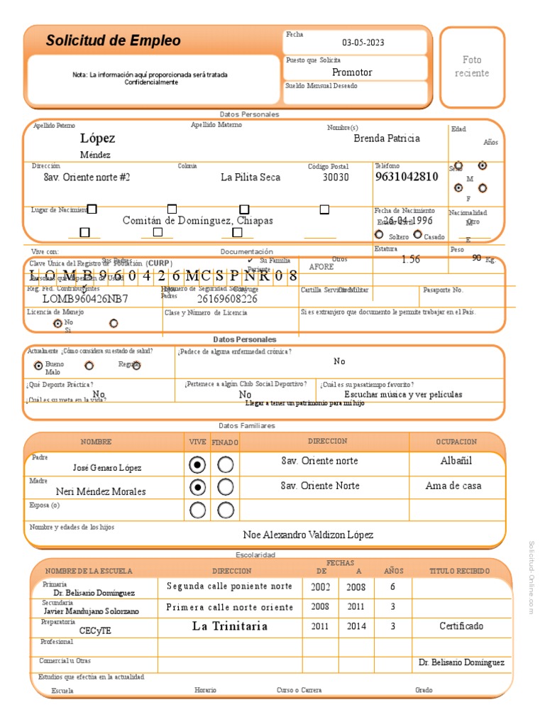 Solicitud de Empleo Bonita Editable PC | PDF