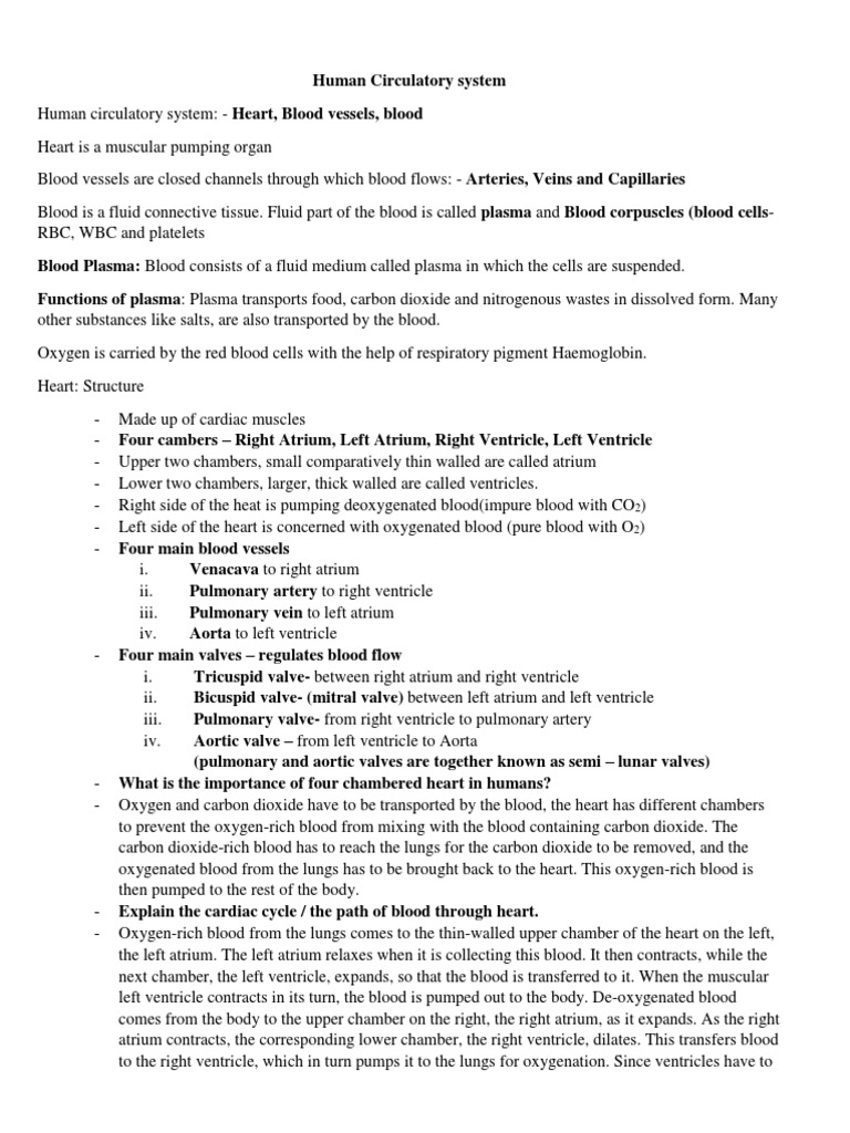 Human Circulatory System Notes and NB Work Questions | PDF
