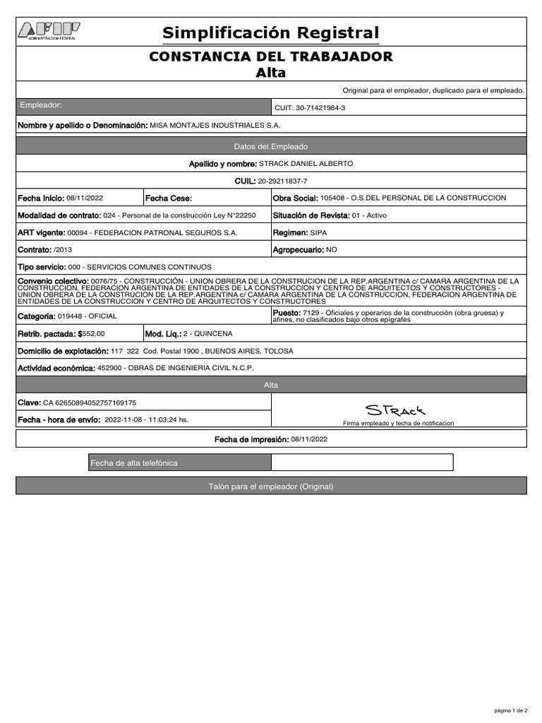 Alta Afip - Strack | PDF