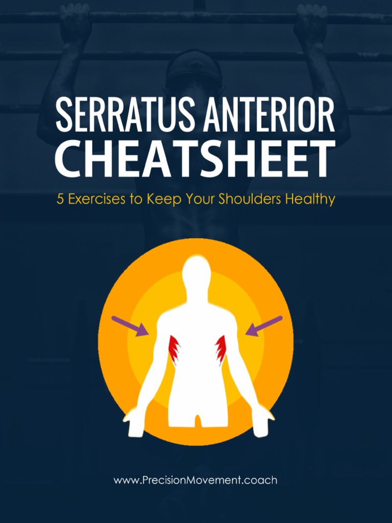 Strengthening the Serratus Anterior | PDF | Anatomical Terms Of Motion ...