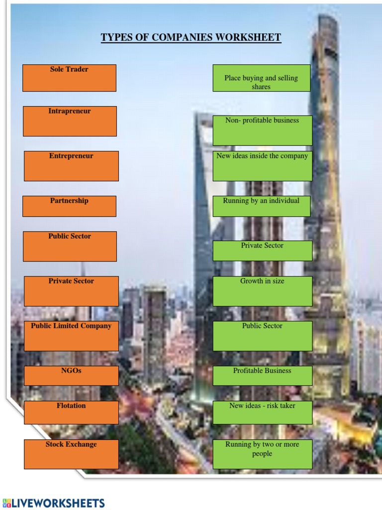 Types of Companies Worksheet: Sole Trader | PDF