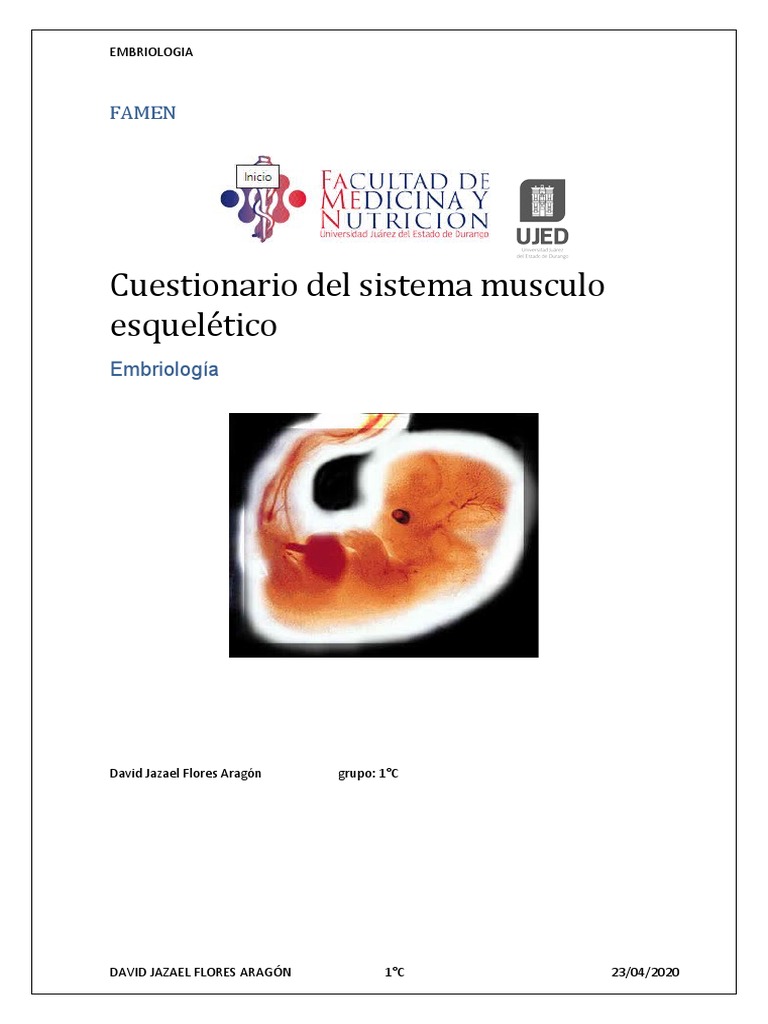 Cuestionario Del Sistema Musculo Esquelético Embriologia | PDF | Cráneo ...
