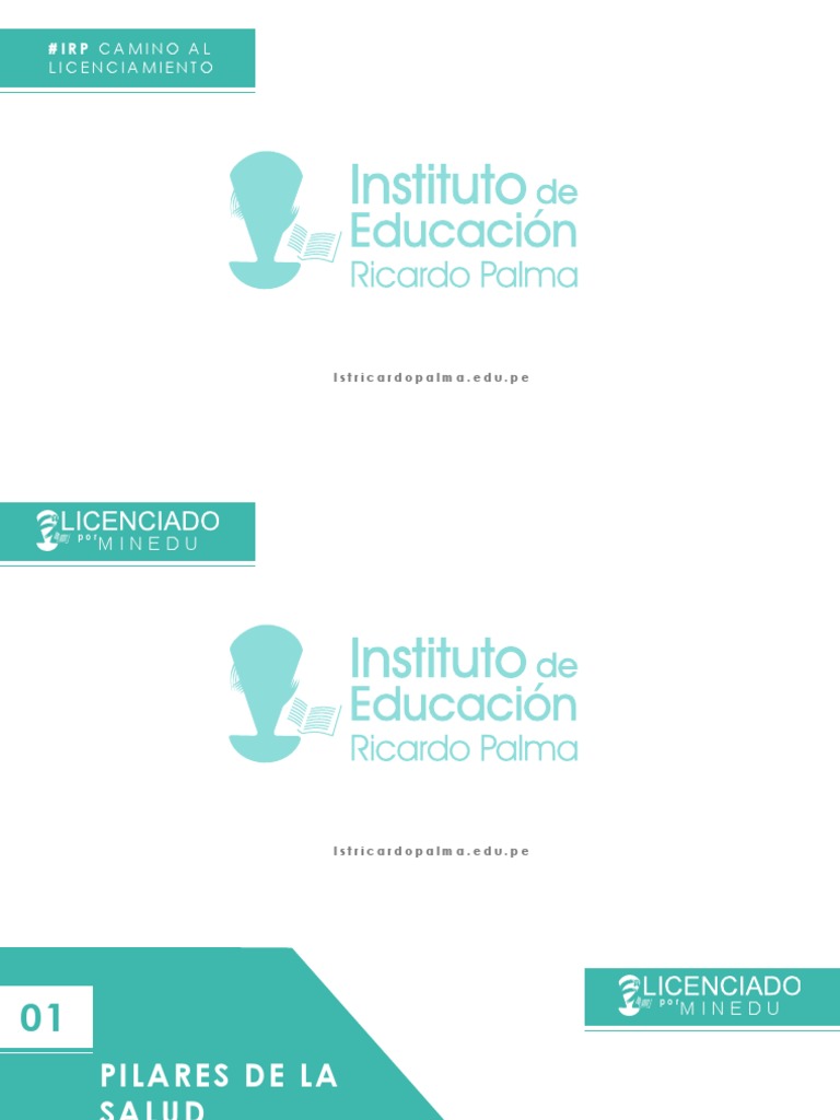 Grupo 2 - Pilares de La Salud Comunitaria | PDF