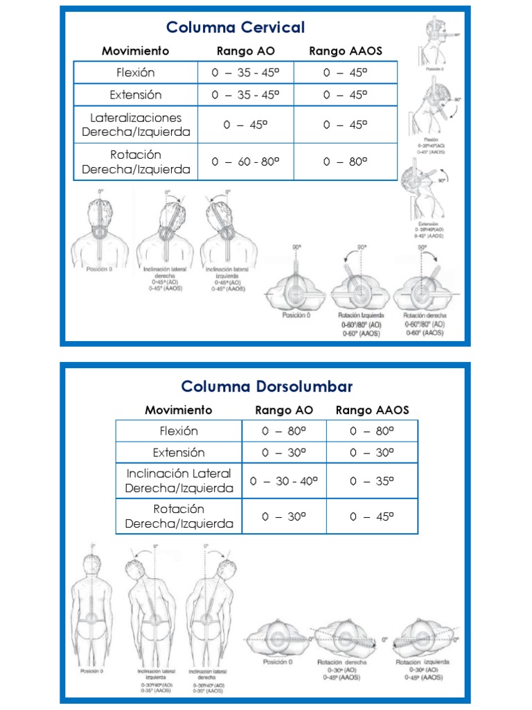Rangos de Movimiento Tabla | PDF