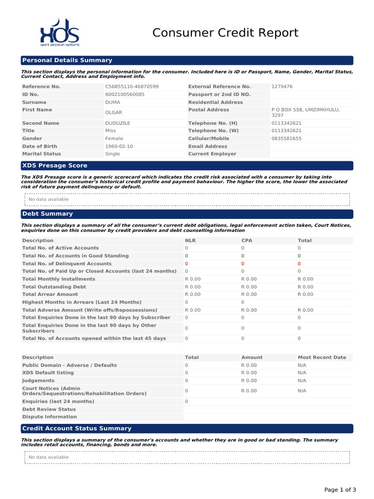 XDS Consumer Credit Report | PDF
