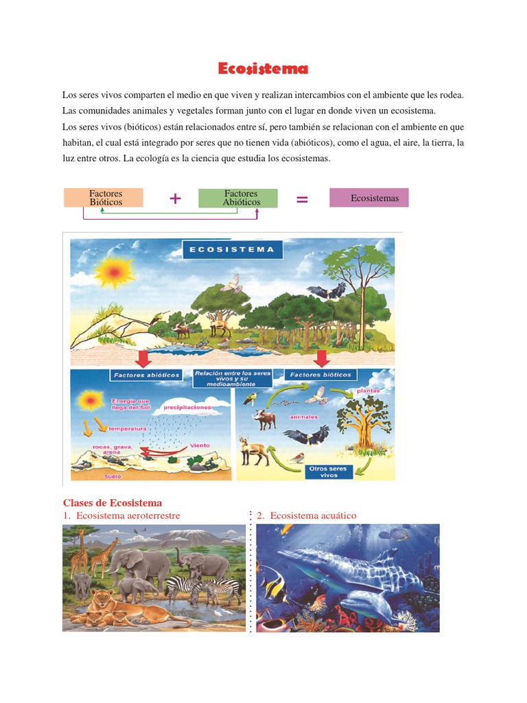 Ea Clase 5 | PDF | Ecosistema | Desierto