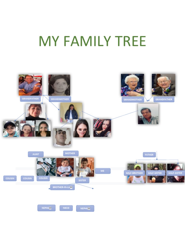 Arbol Genealogico en Ingles | PDF