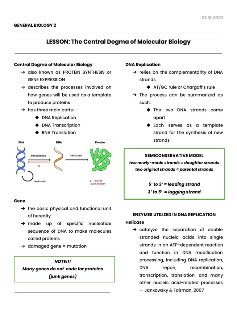 GENBIO2 - Lesson_ The Central Dogma of Molecular Biology | PDF | Dna | Dna Replication