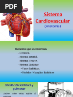 Anatomia de La Rata Externa e Interna Tacher | PDF | Riñón | Abdomen
