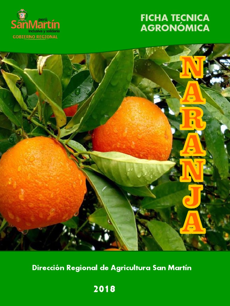 Agronomica Naranja | PDF | Injerto | Plantas