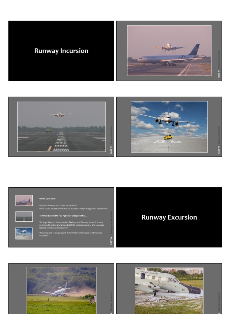 SDEA - Picture Description PDF | PDF