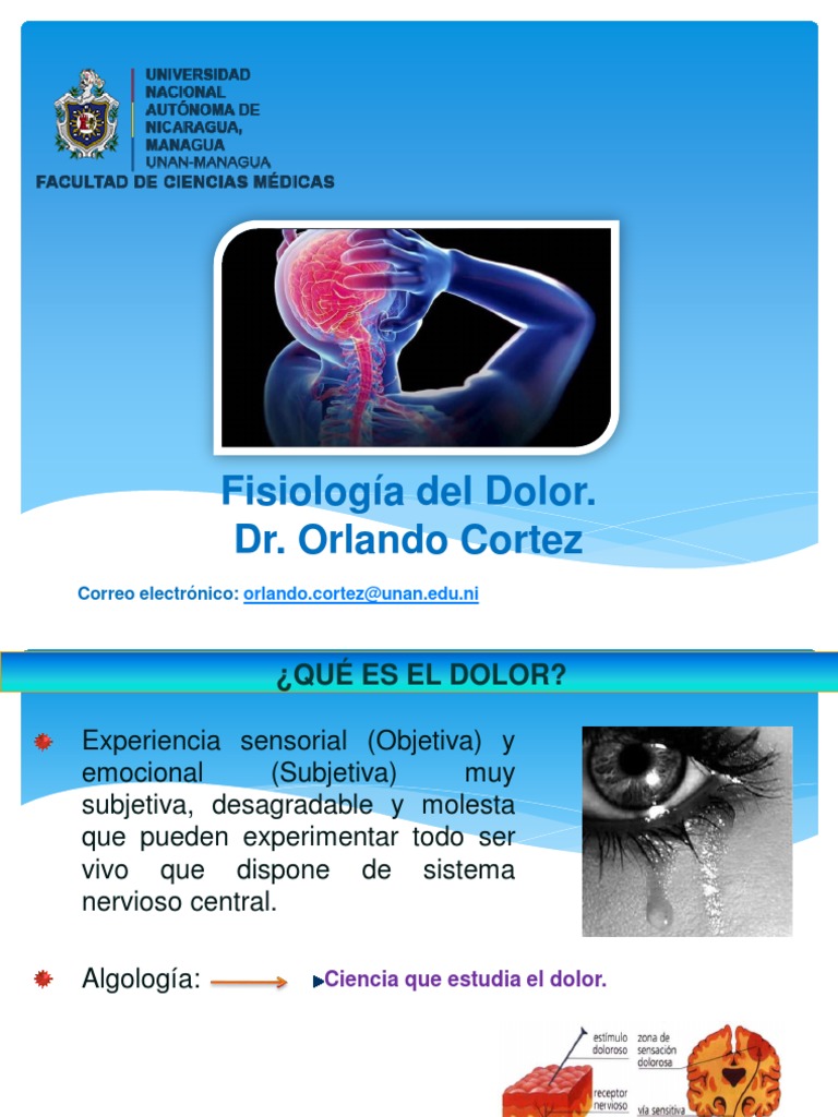 FISIOLOGÍA DEL DOLOR. | PDF | Dolor | Médula espinal