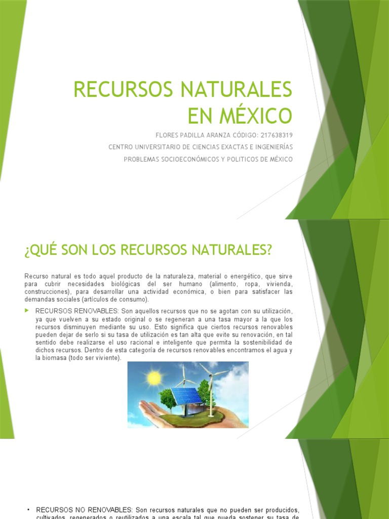 Recursos Naturales en México: Claves y Tipos | PDF | Naturaleza ...