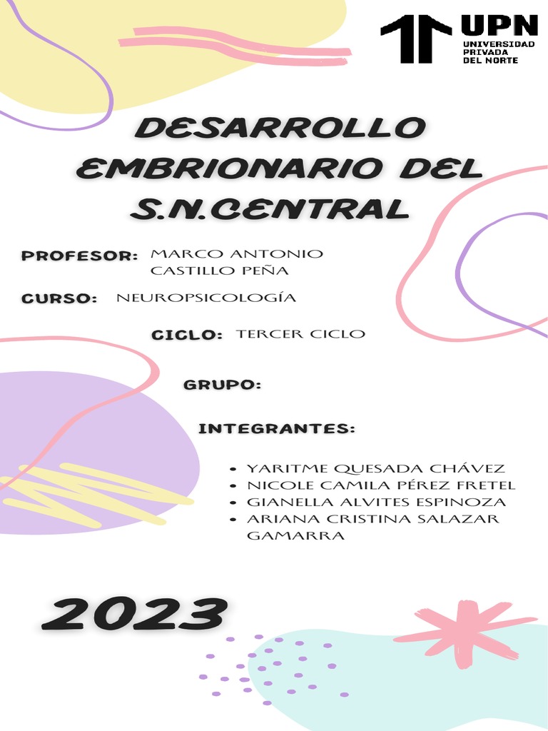 Infografia de Embriologia | PDF | Cerebro | Embrión