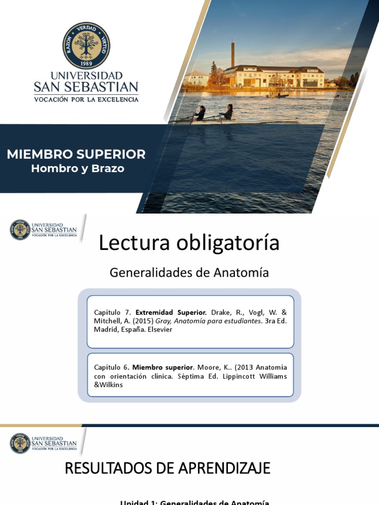 MMSS Hombro y Brazo | PDF