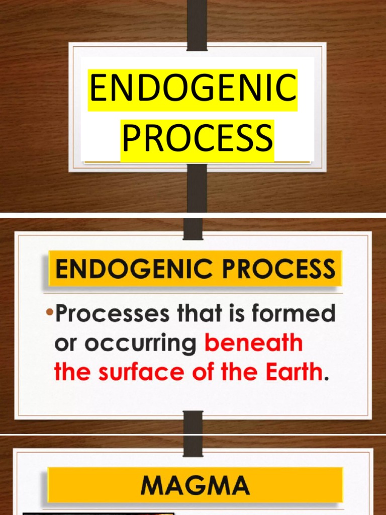 Endogenic Processes Explained | PDF