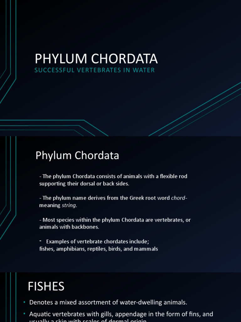 Chordata Phylum: Aquatic Vertebrates Overview | PDF
