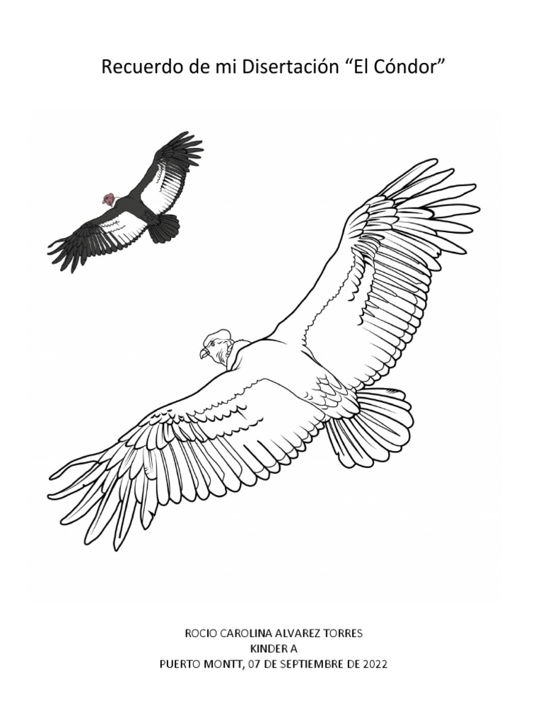 Disertacion Condor | PDF