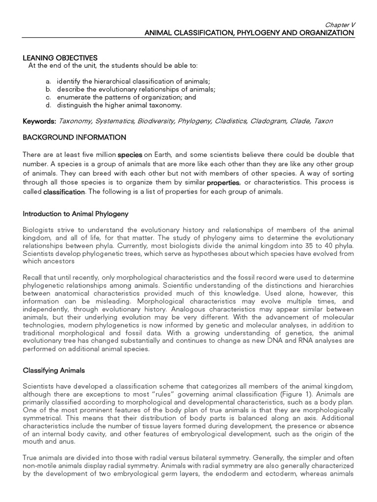 Lesson 5 7 Zoology Learning Module Pdf Protozoa Mollusca