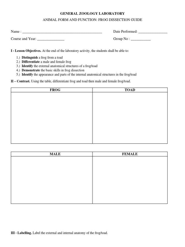 Frog Dissection Answer Sheet | PDF | Frog | Anatomy