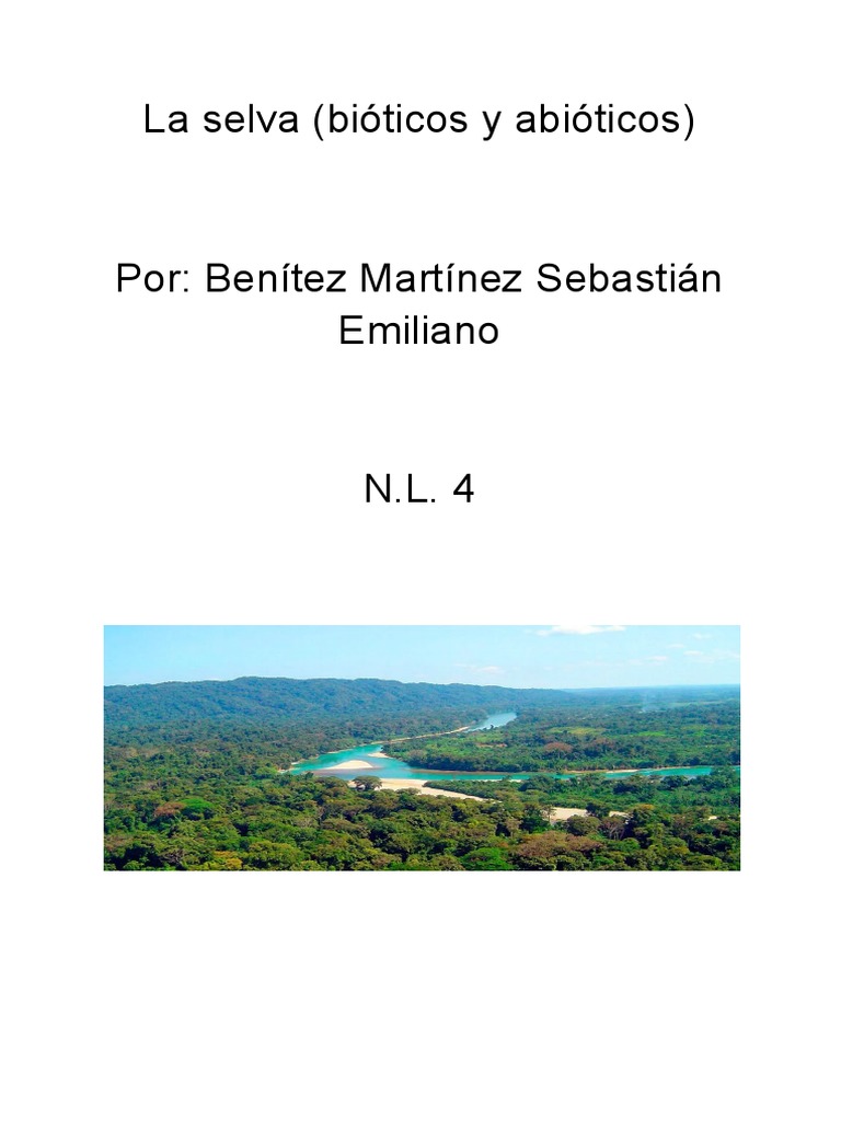La Selva (Biótico y Abiótico Que Son) | PDF | Selva | Ciencias de la Tierra