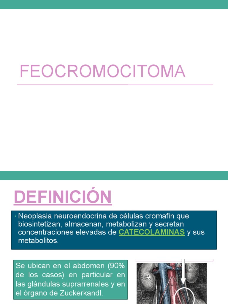 FEOCROMOCITOMA | PDF | Hipertensión | Presión sanguínea