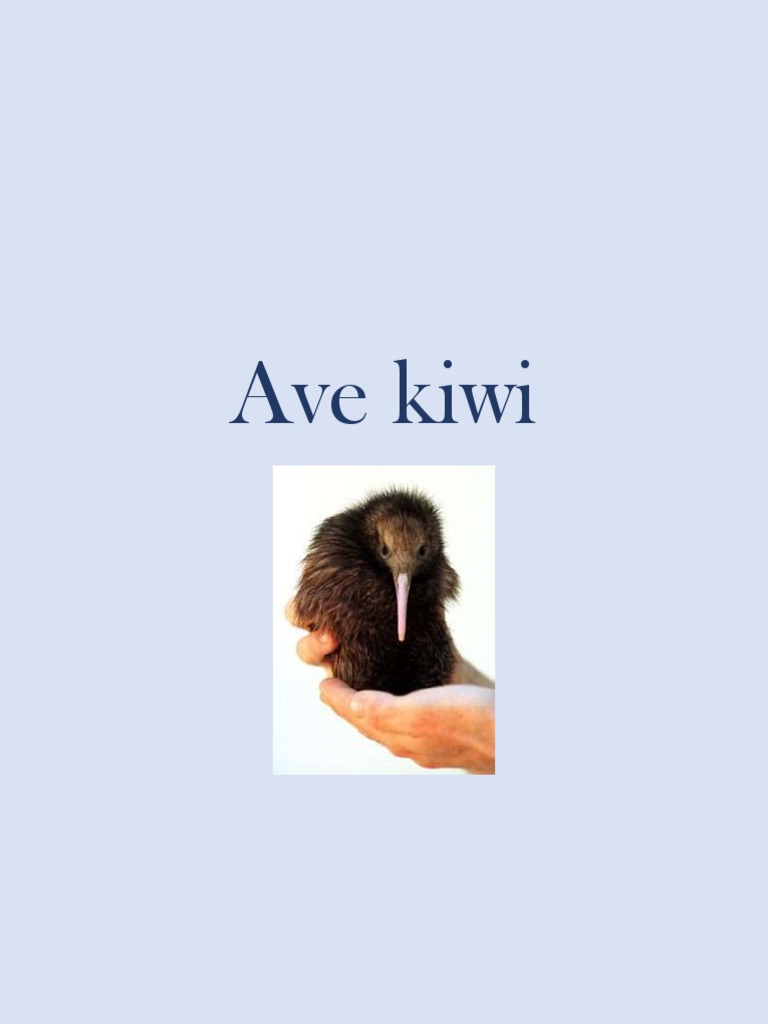 Ave Kiwi | PDF | Aves | Huevo
