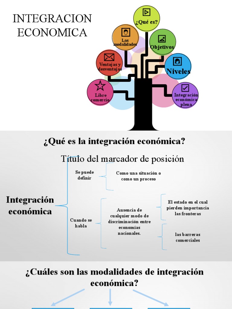Integracion Economica | PDF | Integración económica | Comercio
