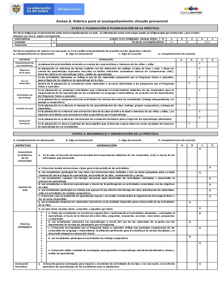 Anexo 8 Acompañamiento Grado 2 | PDF | Enseñando | Evaluación