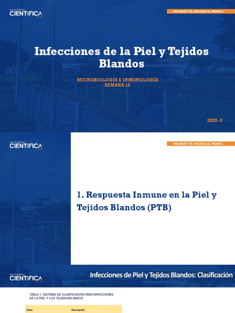 Clase N12_Infecciones de la Piel y Tejidos Blandos | PDF