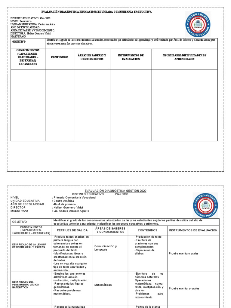 plan DIAGNÓSTICO | PDF