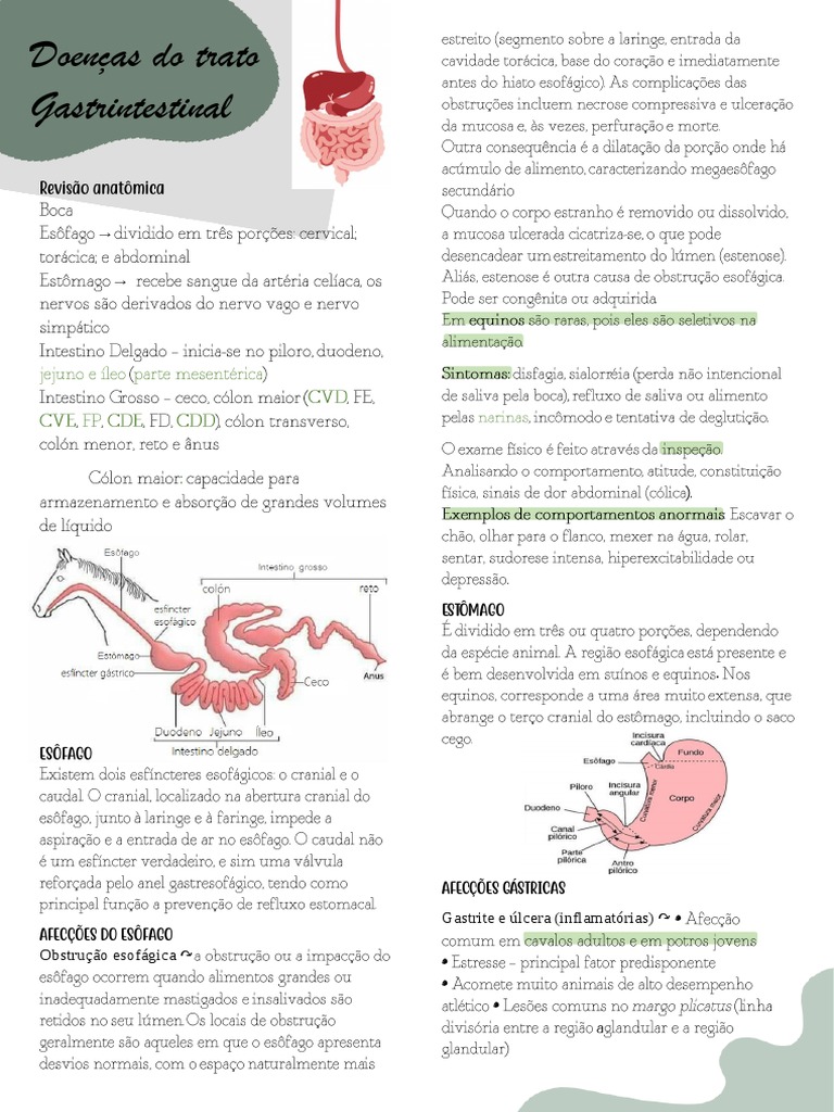 TGI Equinos - Patologia | PDF