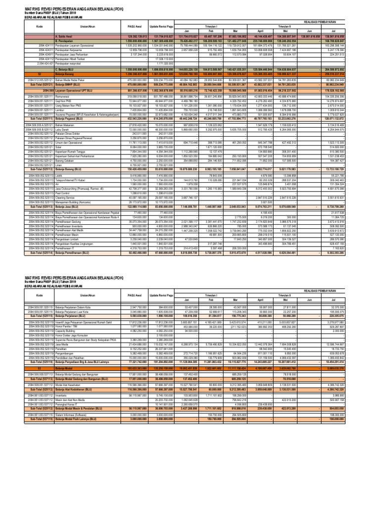 Revisi Anggaran PNBP BLU 2019 | PDF