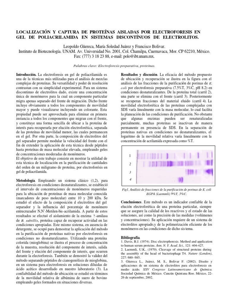 CI-18 | PDF | Electroforesis | Proteínas